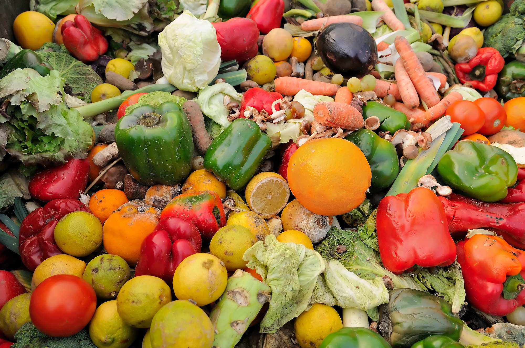 Reducing Food Waste with a Drying and Milling System | DISHER